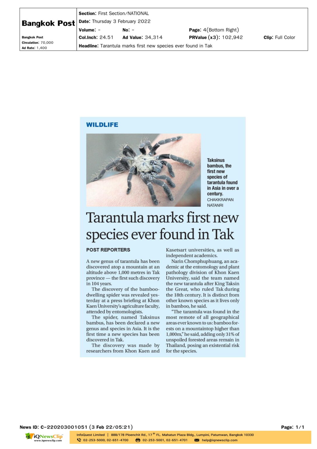 Headline: Tarantula marks first new species ever found in Tak - Khon ...