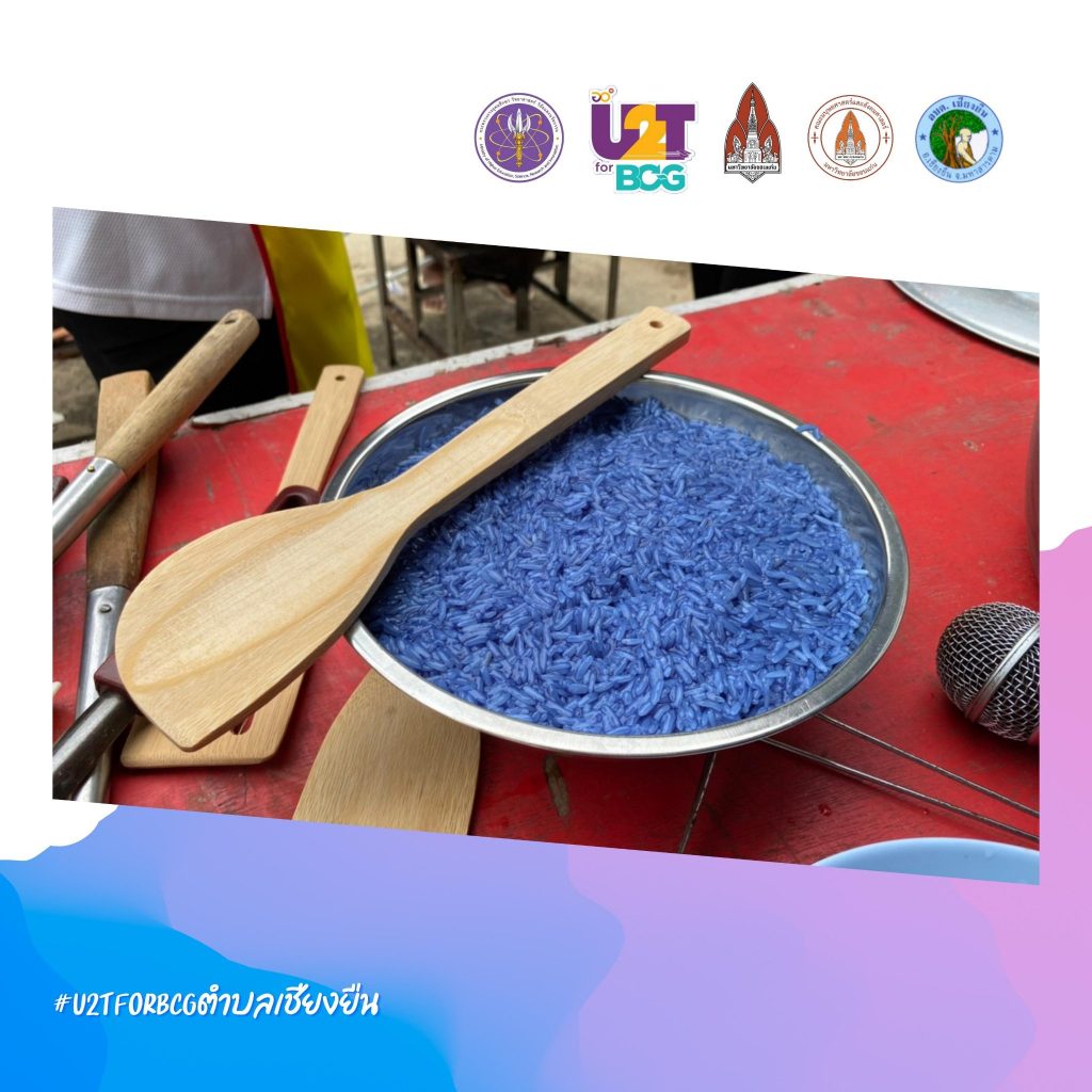 HS U2T for BCG เดินหน้าผลักดัน “ข้าวแต๋นเชียงยืน” - มหาวิทยาลัยขอนแก่น